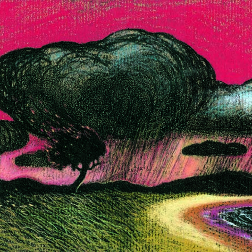 Tom Tirabosco - SCAA